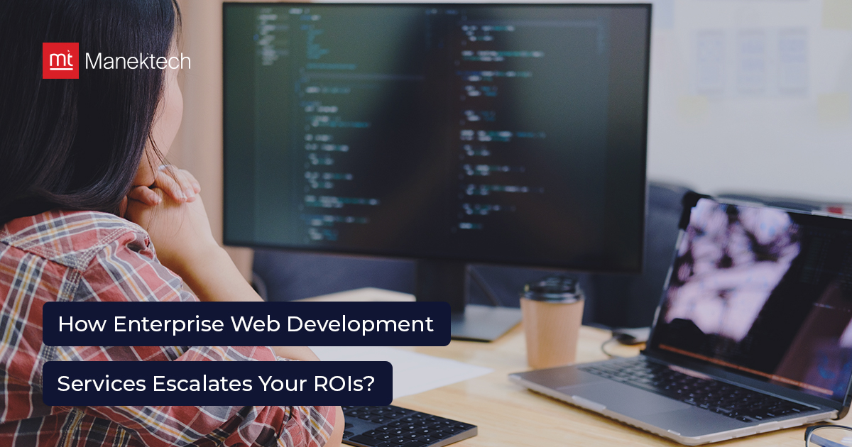 How Enterprise Web Development Services Maximize Your ROI?